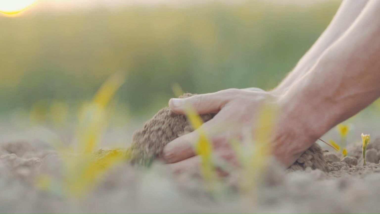 Pink Gypsum - Organic, High Grade Agricultural Gypsum.