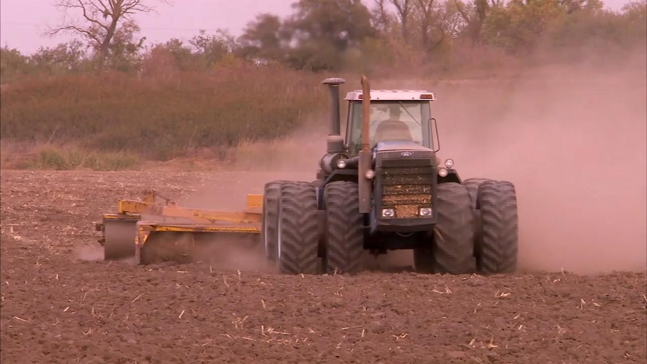 Pink Gypsum - Organic, High Grade Agricultural Gypsum.