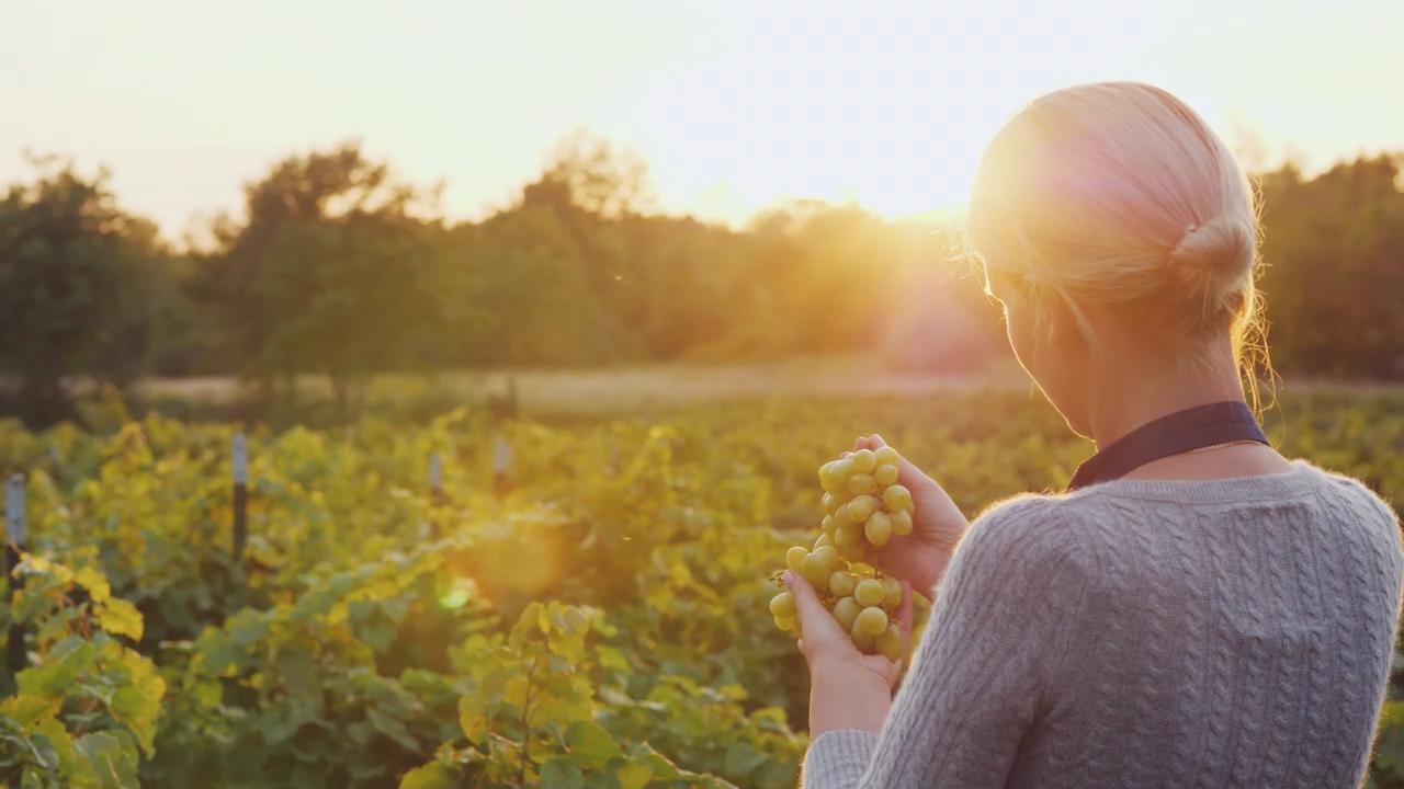 Pink Gypsum - Organic, High Grade Agricultural Gypsum.